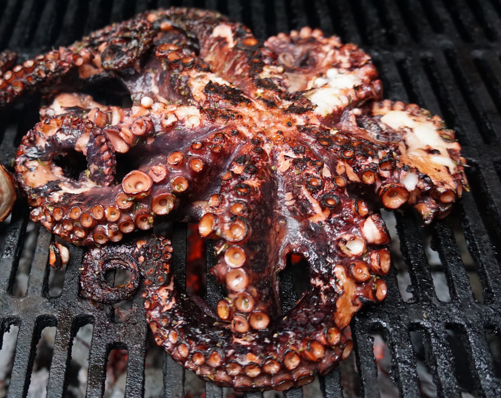 Grilled Octopus - Boys of Cooking